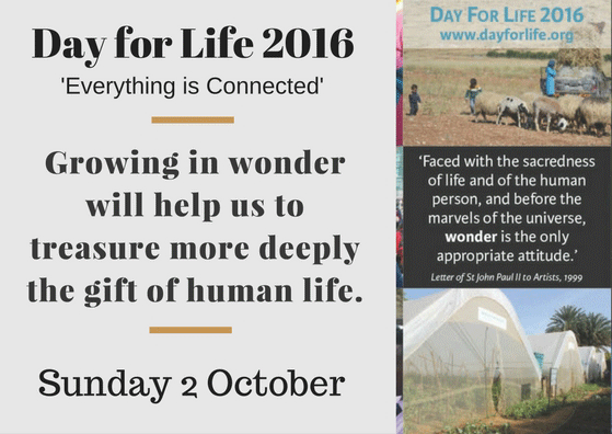 Bishops publish ‘Day for Life’ pastoral message: ‘Everything is ...