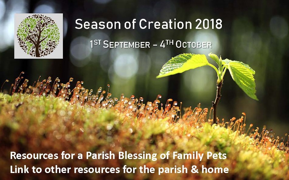 Season of Creation Resources - Kandle